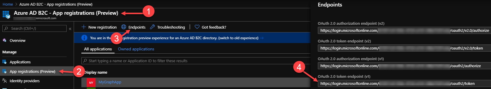 Introduction for Azure B2C with graph api – LockTar’s Blog
